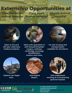 DVM Externships - Aliante Animal Hospital